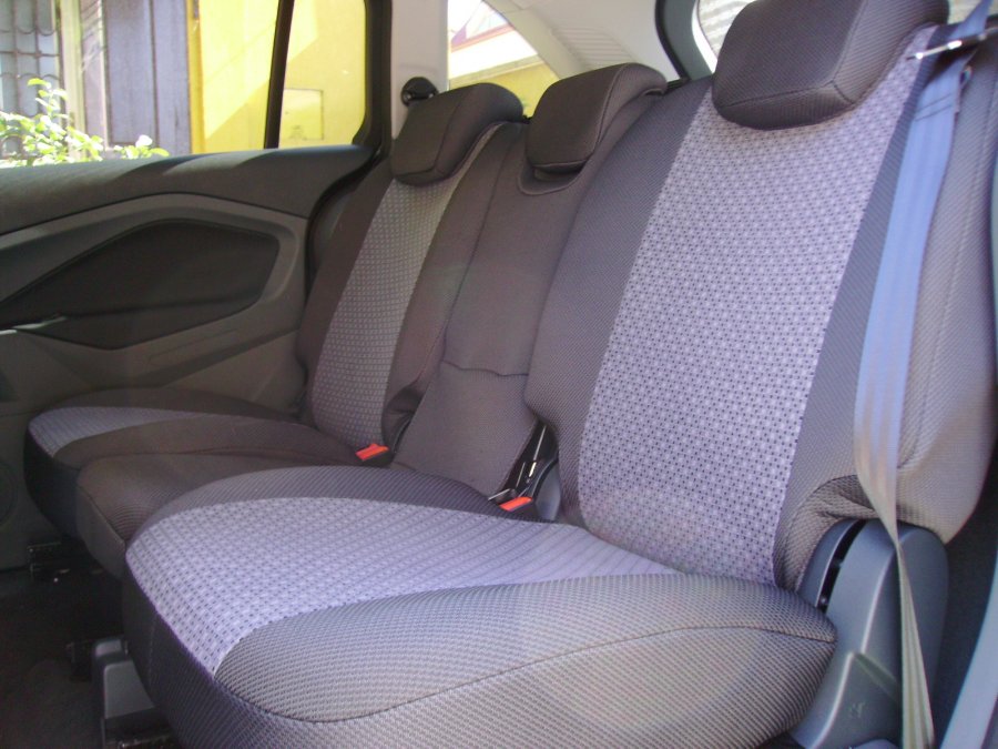 Galerie foto huse auto personalizate Ford